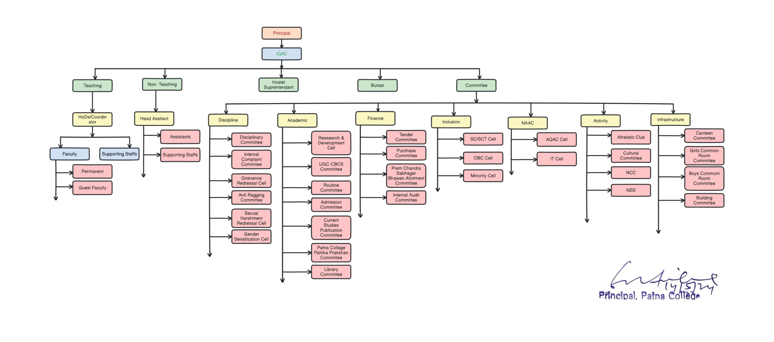 Organogram – Patna College